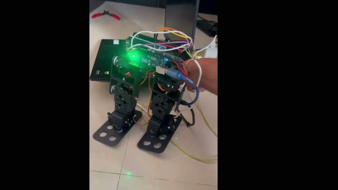 BIPED ROBOT - Project assignment for Skyfi Labs online course - by Raj ...