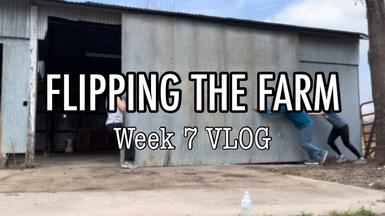FLIPPING the FARM Week 7 VLOG - YouTube