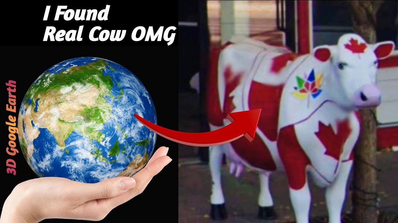 Proof Cow Is Real On Google Earth and Google Maps 🌎 - YouTube