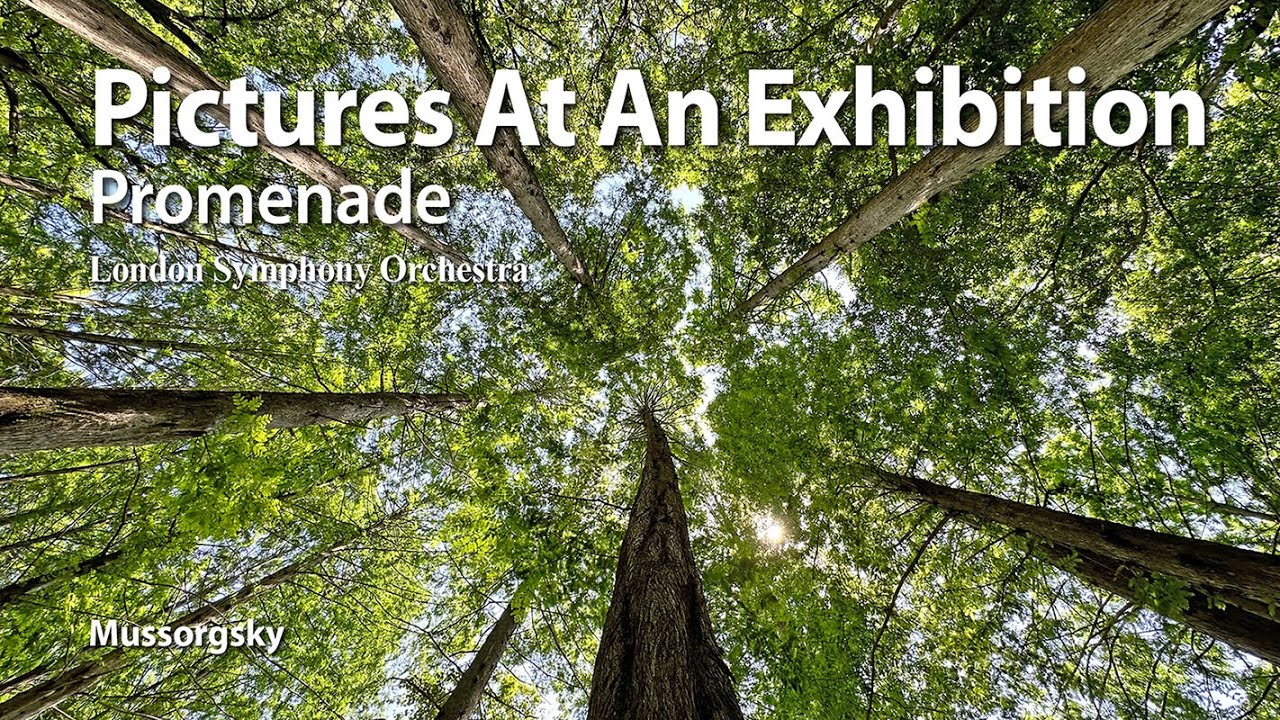 Mussorgsky _ Pictures At An Exhibition - Promenade - YouTube