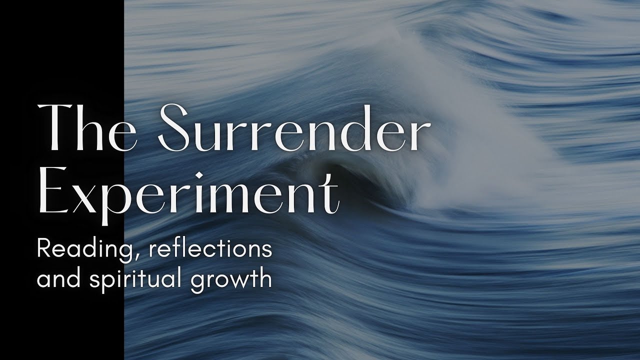 The Surrender Experiment Book Reading & Reflection | Michael Singer ...