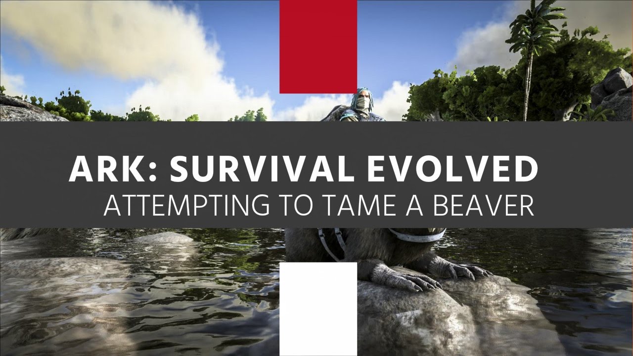 ARK: SURVIVAL EVOLVED - ATTEMPTING TO TAME A BEAVER (Let's Play) - YouTube