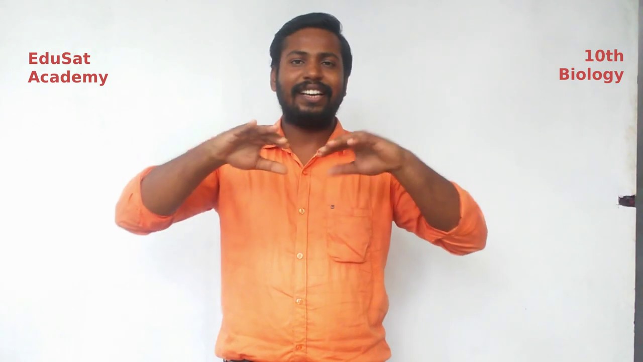 Biology Kerala Syllabus SSLC Ariyanum Prathikarikkanum YouTube biology-kerala-syllabus-sslc-ariyanum-prathikarikkanum-youtube