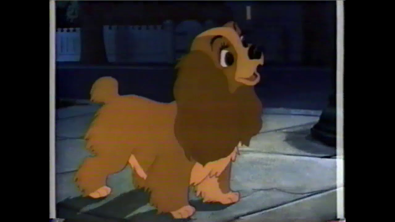 Quack Attack: An Evening With Lady and the Tramp (excerpts) - YouTube