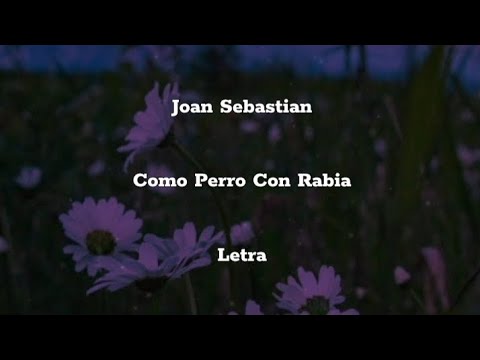 Joan Sebastian • Como Perro Con Rabia • Letra - YouTube