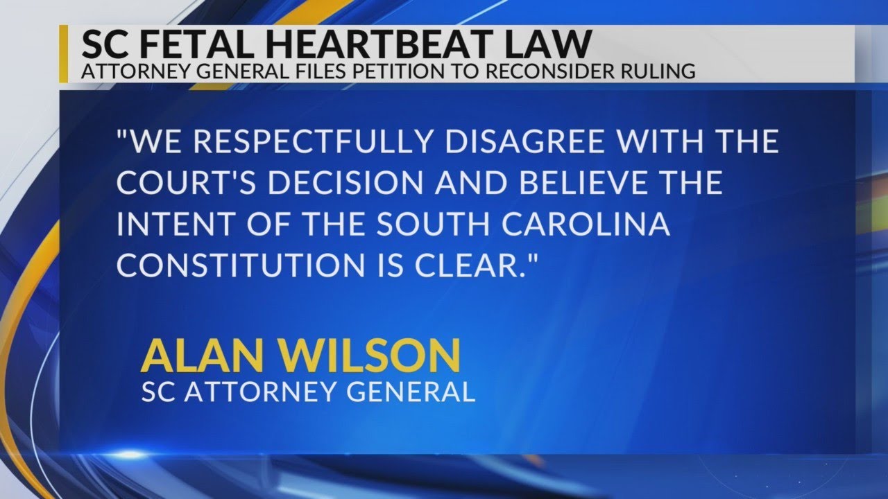 South Carolina Attorney General Alan Wilson asks state Supreme Court ...