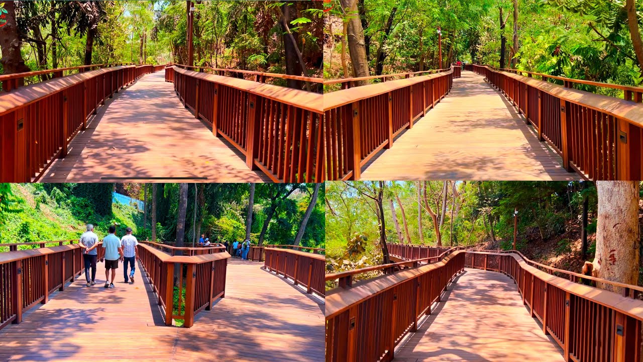 Best Place To Visit | Elevated Nature Trail Complete Tour In This Video ...