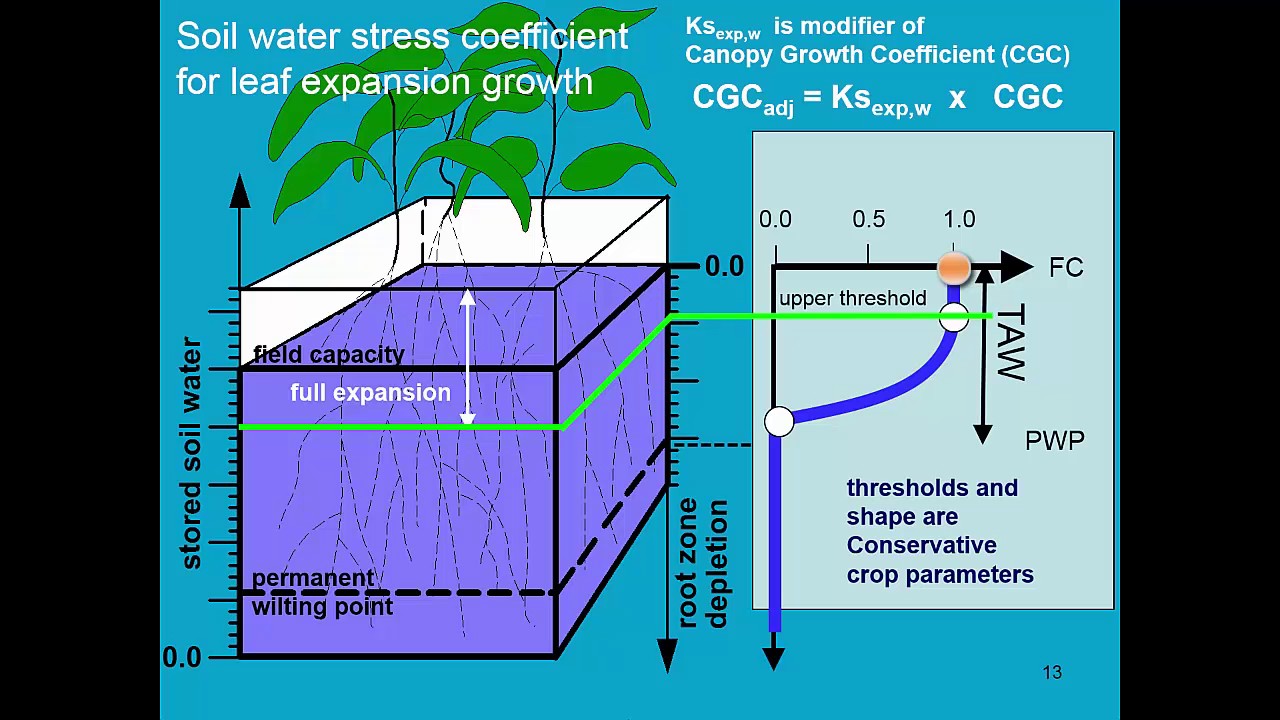 Crop development AquaCrop - Training module Nr. 4.3, April 2016 - YouTube