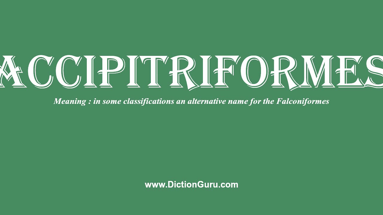 accipitriformes: How to pronounce accipitriformes with Phonetic and ...
