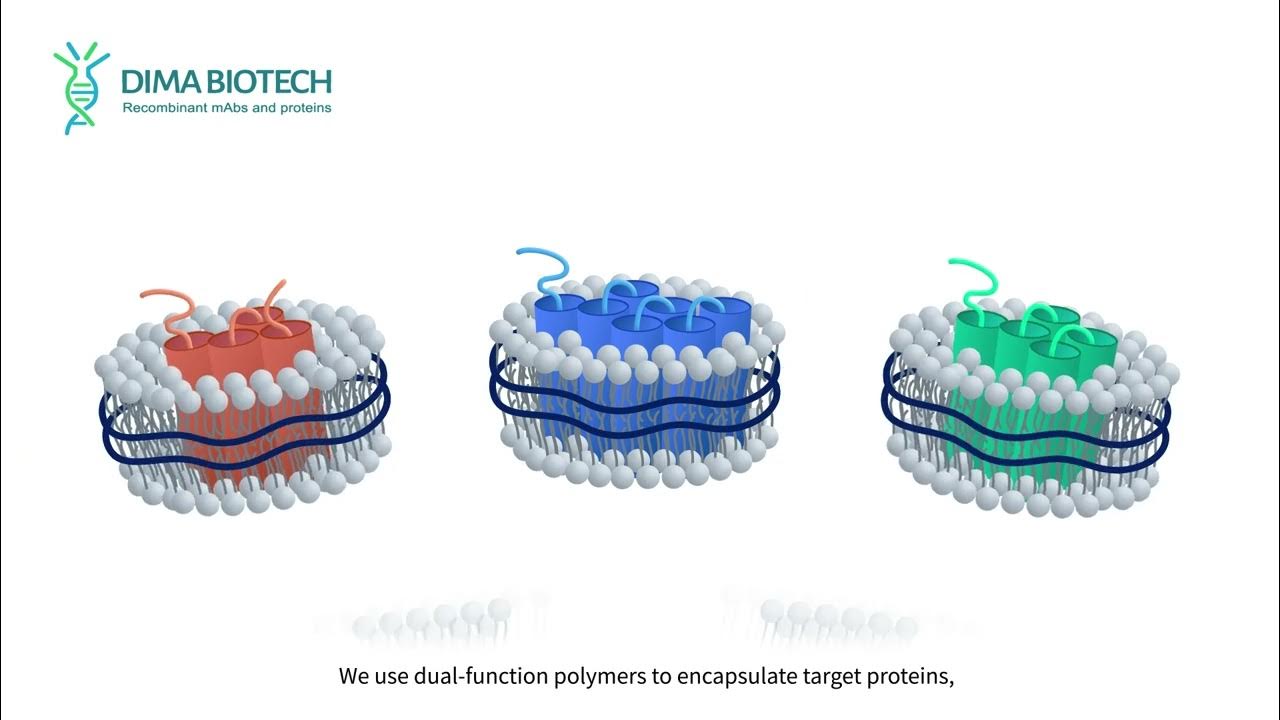 Explore Hundreds Of In stock Nanodisc Proteins Pre Validated For Your explore-hundreds-of-in-stock-nanodisc-proteins-pre-validated-for-your