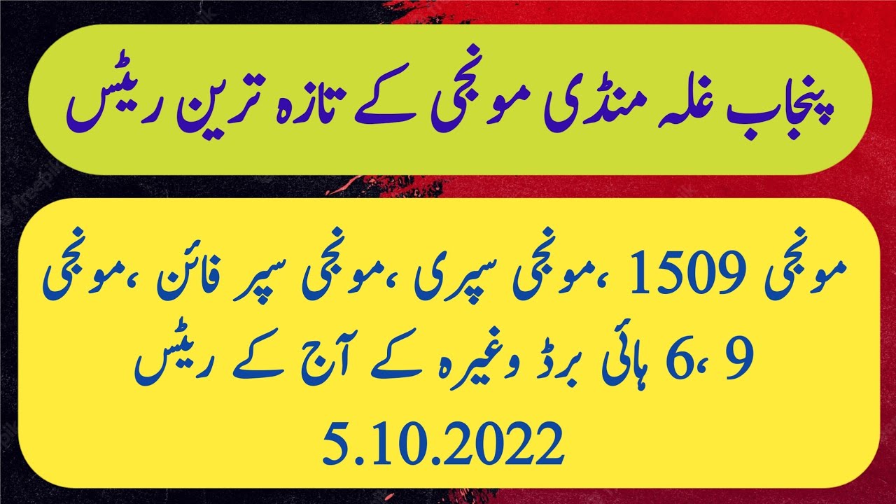 Today monji munji rice dhan Chawal price in Punjab galla mandi ke rate ...