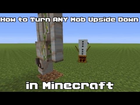 How to Turn ANY Mob UPSIDE DOWN in Minecraft! - YouTube