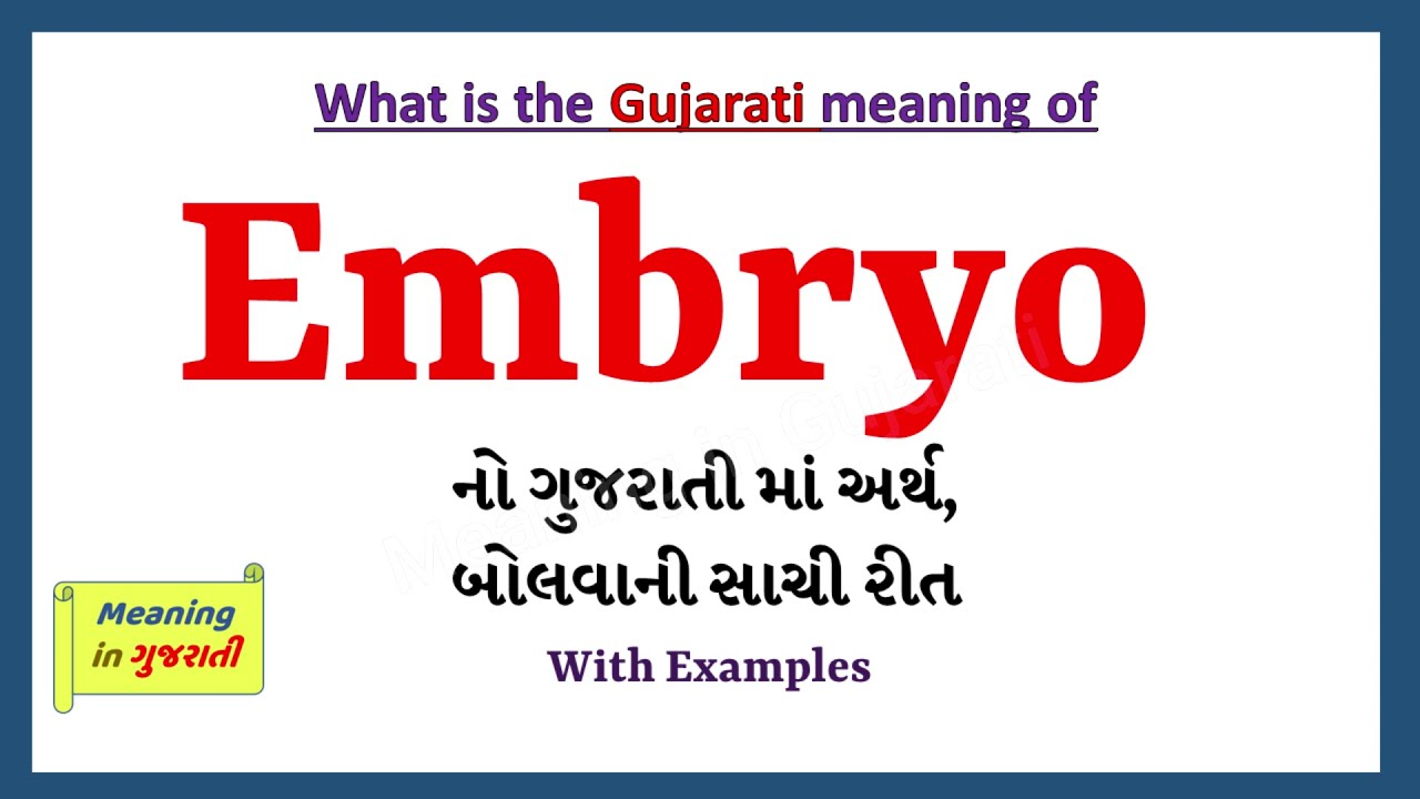 Embryo Meaning In Gujarati Embryo Embryo In Gujarati Embryo Meaning In Gujarati Embryo Embryo In Gujarati