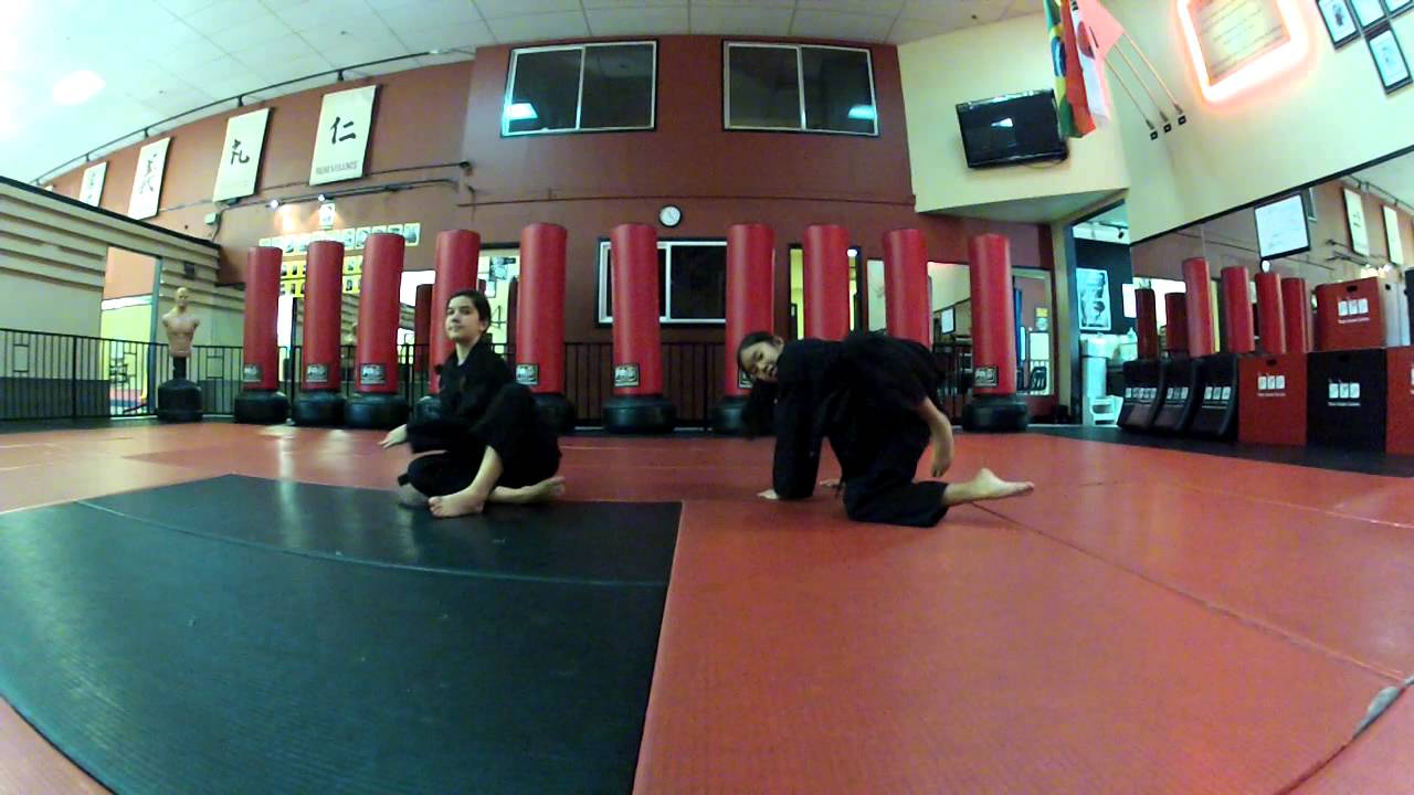 Basic Ground Kicks: Round Kick - YouTube