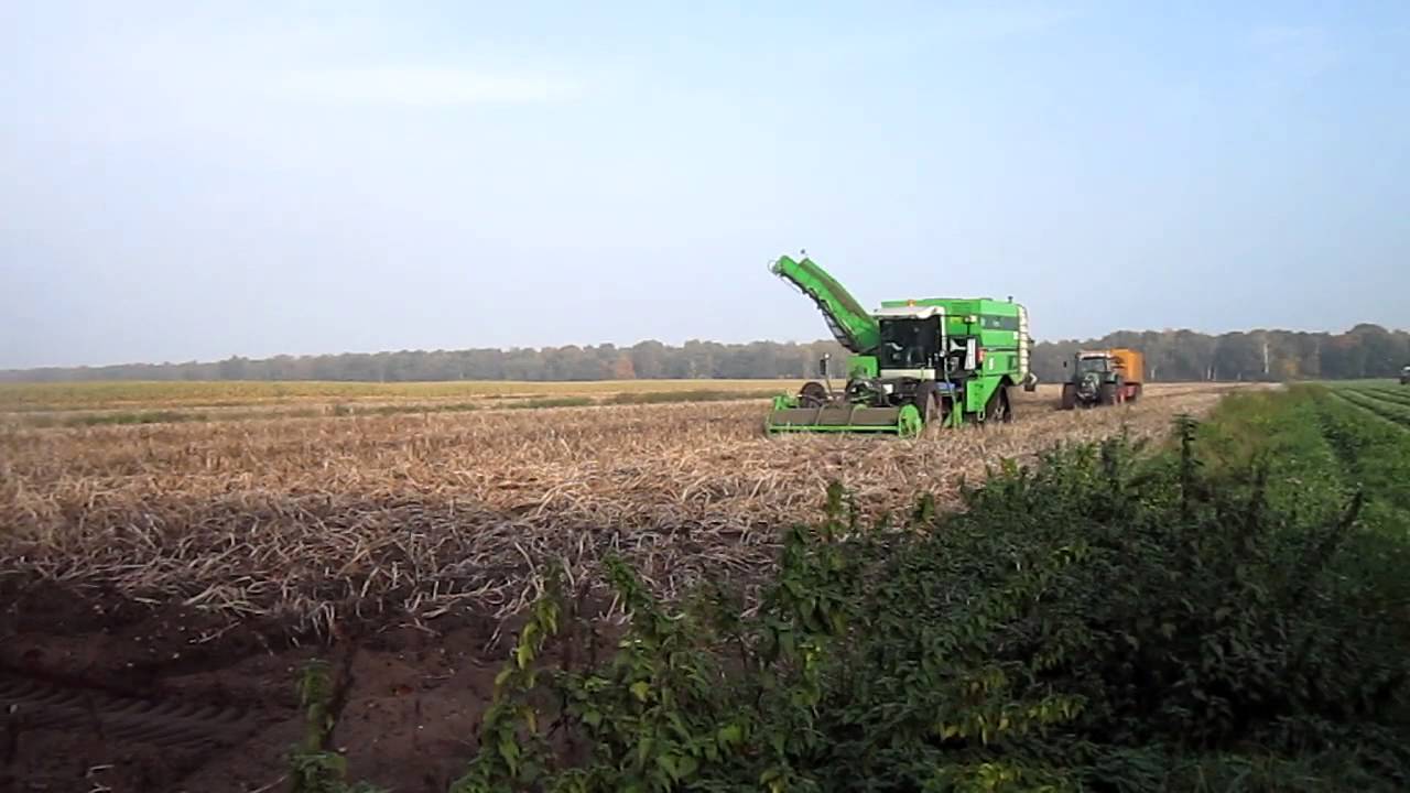 Potato Harvest | Full Throttle Team | AVR Puma on Tracks | The ...