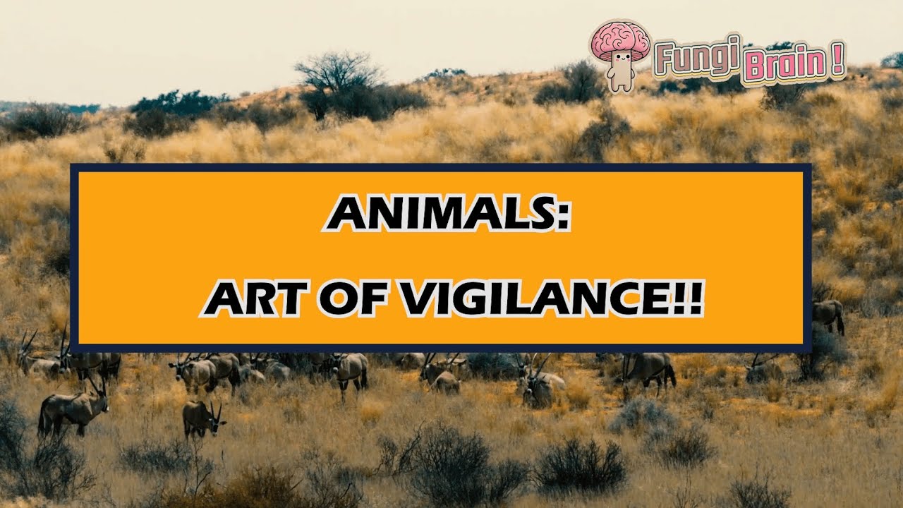 Eyes Wide Open: Unveiling the Mystery of Animal Vigilance! - YouTube