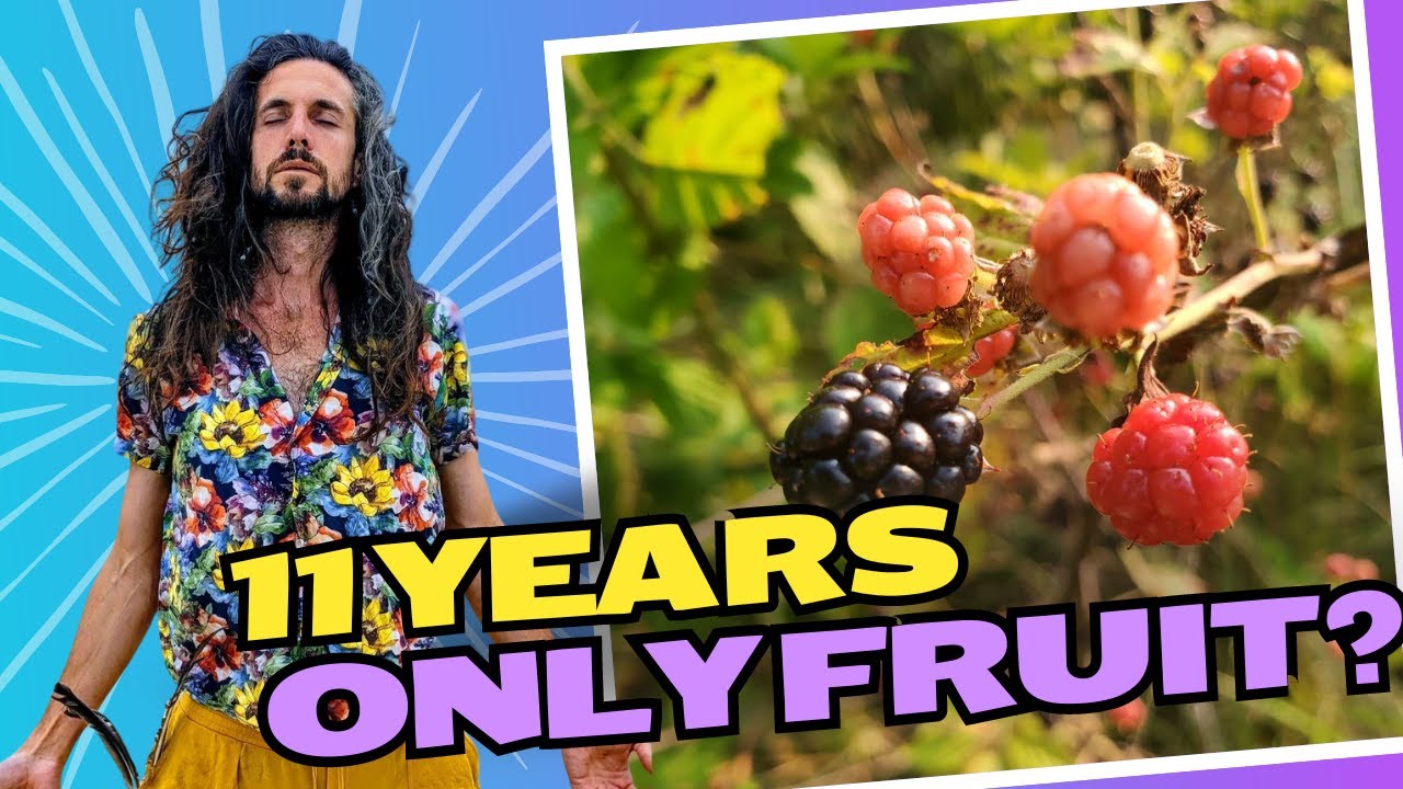11 Years of Eating ONLY FRUIT? Here's What's HAPPENED - YouTube