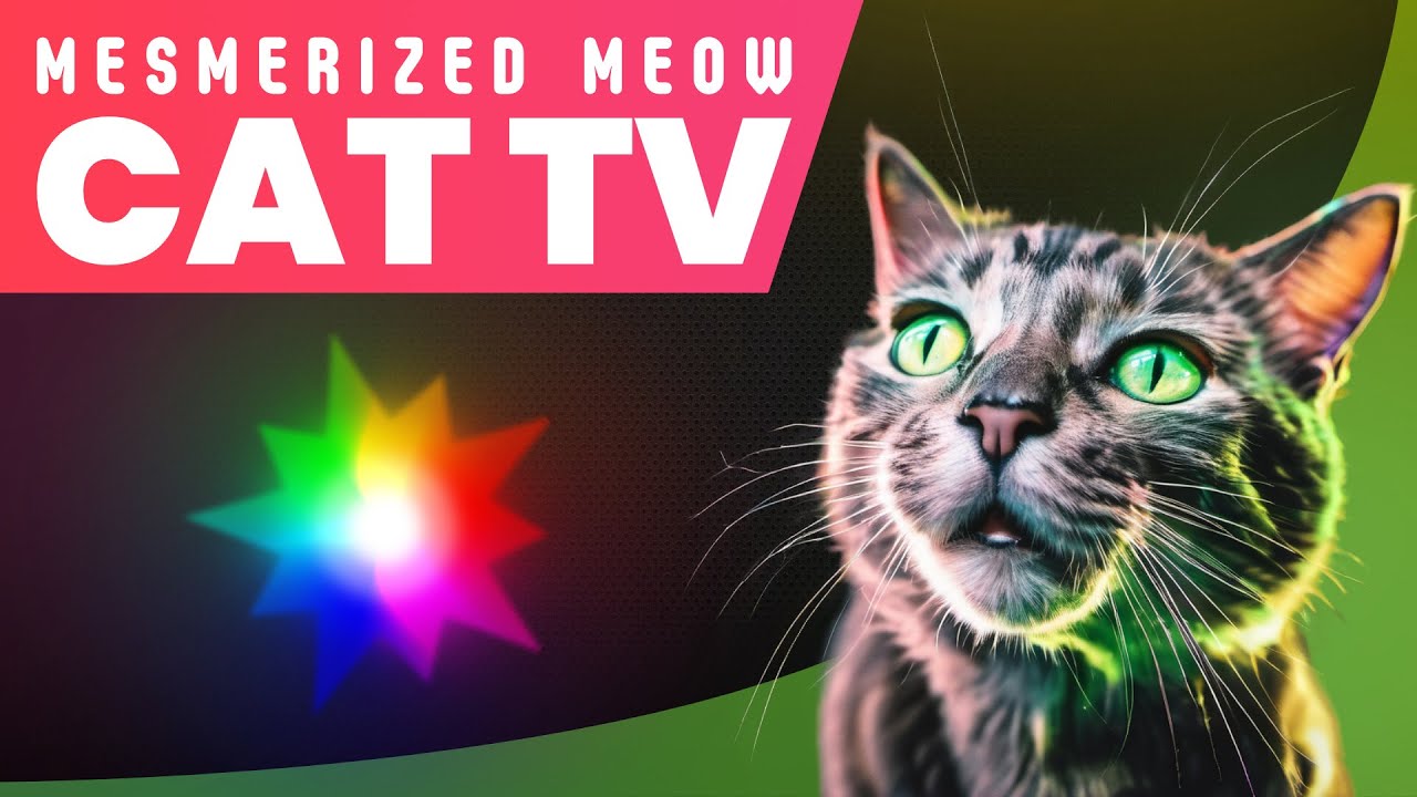 CAT TV - AMBIENT RAINBOW LASER 🌈 (GAME FOR CATS TO WATCH) - YouTube