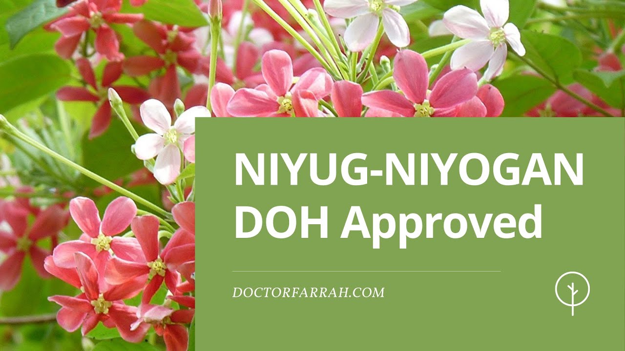 DR. FARRAH® NIYUG-NIYOGAN | Health Benefits - YouTube