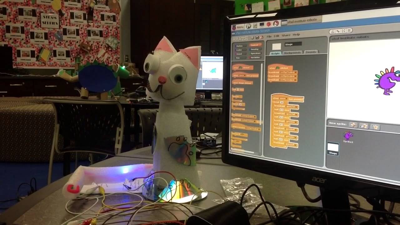 Raspberry Pi Cat Robot Project - YouTube