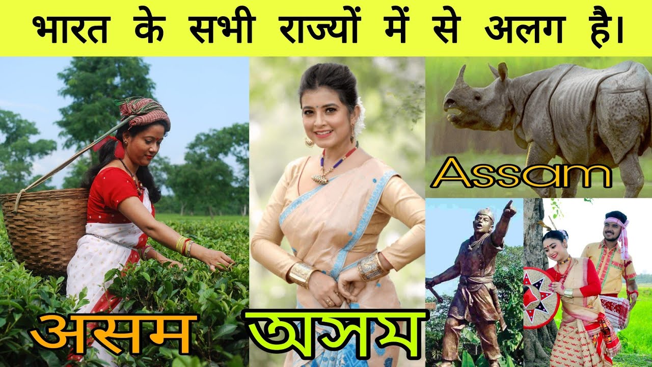 आसाम के इस वीडियो को एक बार जरूर देखें। Some surprising facts of Assam ...
