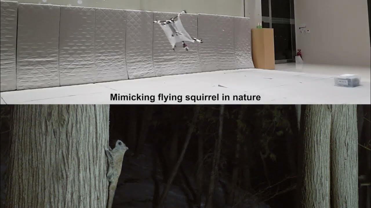 [IROS2023] A highly maneuverable flying squirrel drone with ...