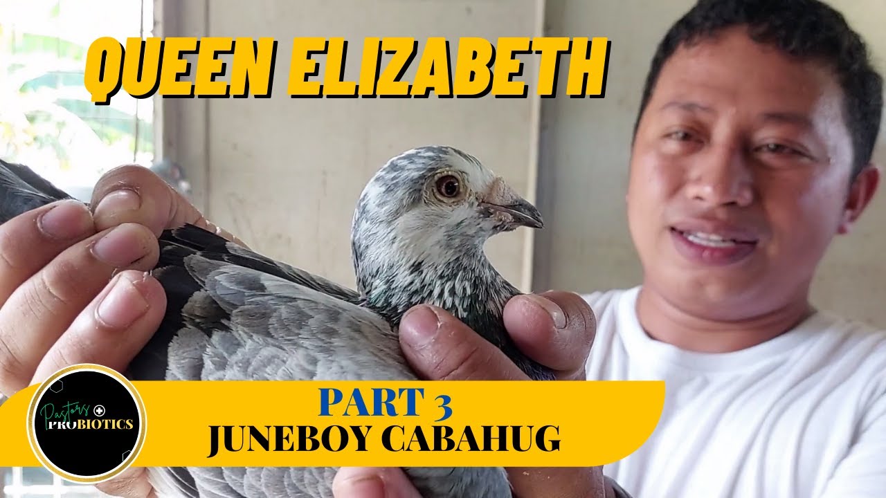Queen Elizabeth ang isa sa nagproduce ng winners! - YouTube