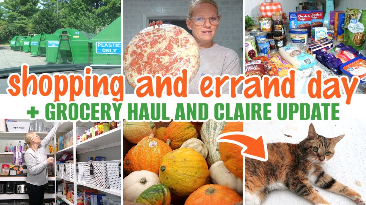 SHOPPING AND ERRAND DAY / GROCERY HAUL AND 2 WEEK MEAL PLAN / WALMART ...