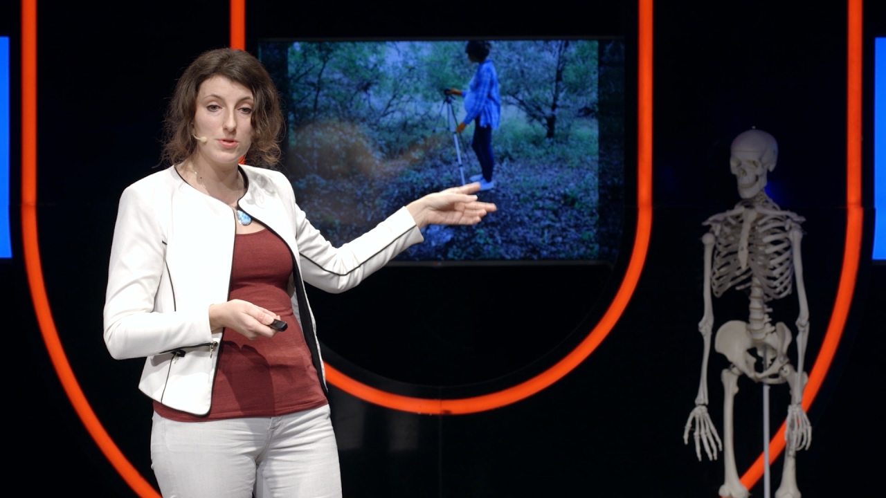 ARCHEOLOGIE: Wat gebeurt er precies met een lijk nadat het begraven is ...