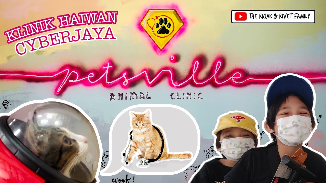 Vaksin Untuk Kimi l Petsville Animal Clinic, Cyberjaya - YouTube