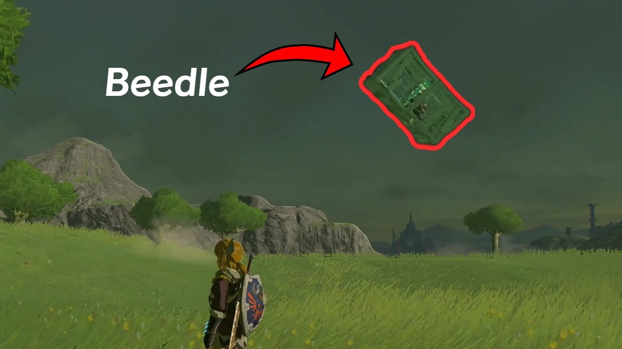 Teaching Beedle to FLY | The Legend of Zelda: Tears of the Kingdom ...