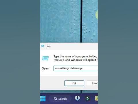 Check Data usage in your PC | #shorts - YouTube