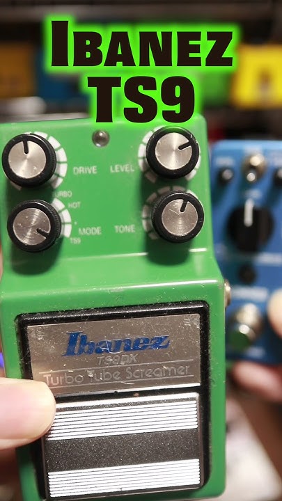 TS9とDonner BLUES DRIVEの違い🎸#ts9 #donnerpedals #stratocaster #guitarpedals - YouTube