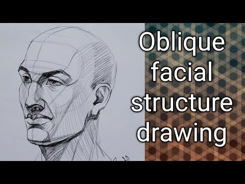 Oblique facial structure drawing. - YouTube