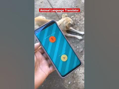 Animal Language Translator - YouTube