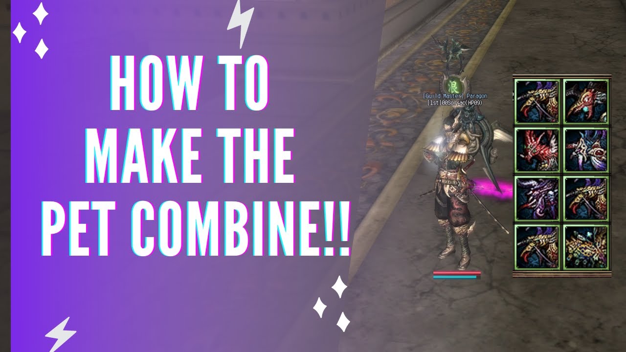 Twelve Sky 2 Reborn Pet Combine - YouTube