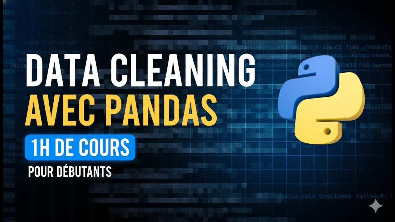 Data Cleaning avec Python et Pandas : Le Guide Complet (1h de cours ...
