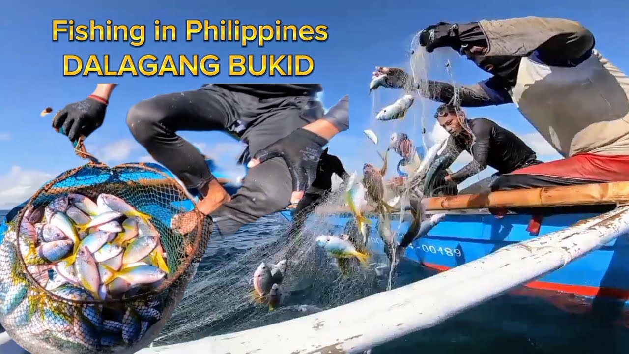 Fishing in deep sea | Tatlong Banyera ng Dalagang bukid sa malalim na ...