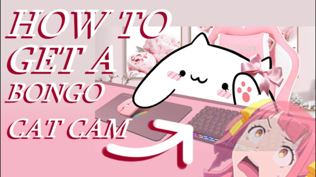 Messze Méreg Becsületes How To Make Twitch Bongo Cat Webcam Kitérés Azonnal Motívum
