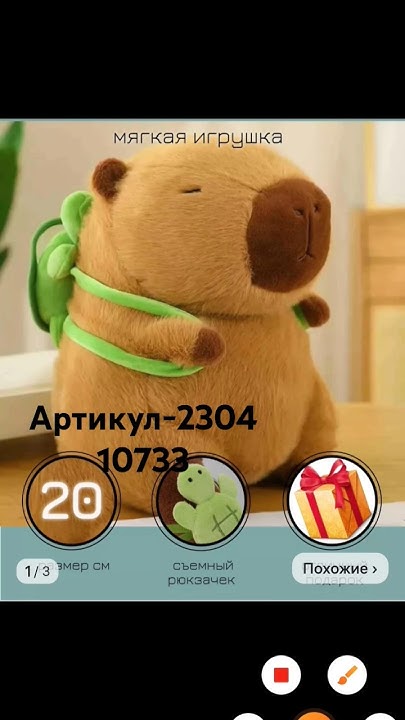 вещи с Wildberries с капибарой😻#капибара #капибаратоп #капибары - YouTube