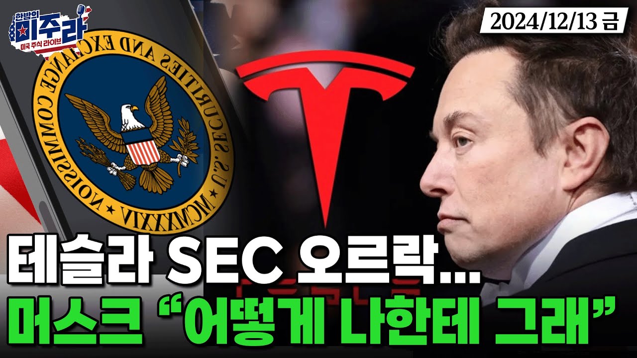 테슬라 일론 머스크가 삐졌다 Sec 뉴럴링크 조사 임박 공개 미국증시 비트코인 미국주식 테슬라 일론머스크 Youtube