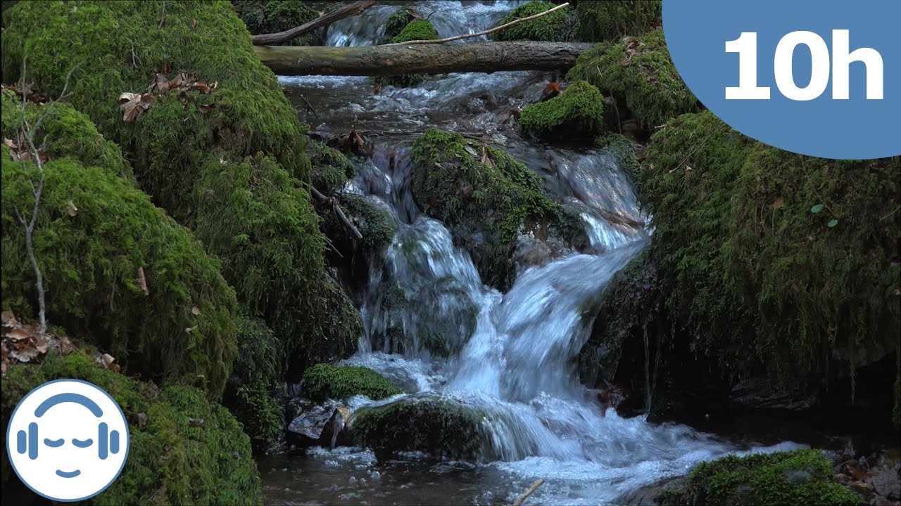 Calming Stream 10 Hours 🌊🌸 Relaxing Sounds Video for Sleeping, Studying ...