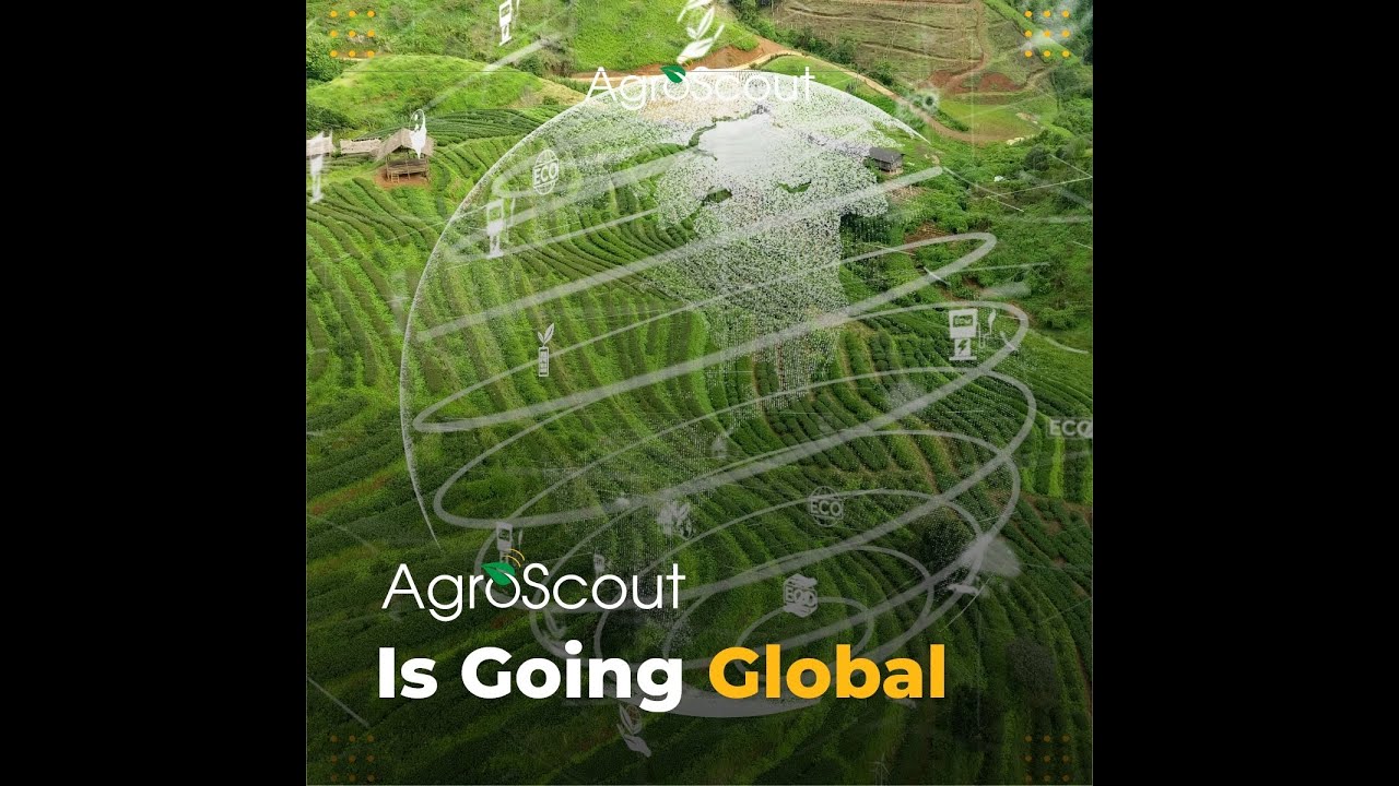 Global AgroScout - YouTube