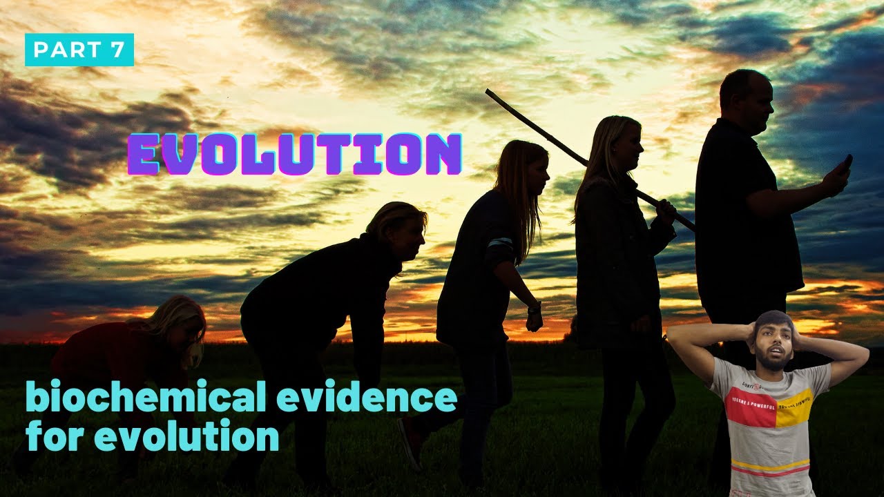 biochemical evidence for evolution - evolution - part 7 - YouTube