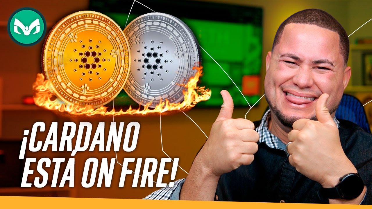 2 GRANDES NOTICIAS EN CARDANO!!!!!!!!!!!!! - YouTube