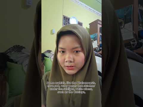 25 Maret 2025 - YouTube