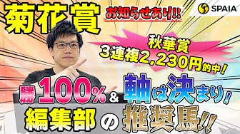 【菊花賞2024 推奨馬】軸は決まり！勝率50%＆複勝率100%の最強データを持つ馬発見 SPAIA編集部の推奨馬を紹介（SPAIA） | SPAIA競馬ch【AI予想とデータ解析 ...