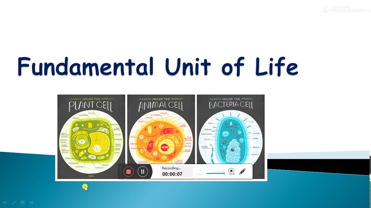 The fundamental unit of life - YouTube