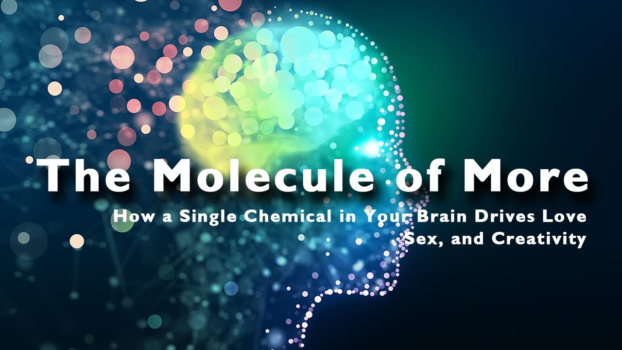 Book Summary|The Molecule of More, How a Single Chemical in Your Brain ...