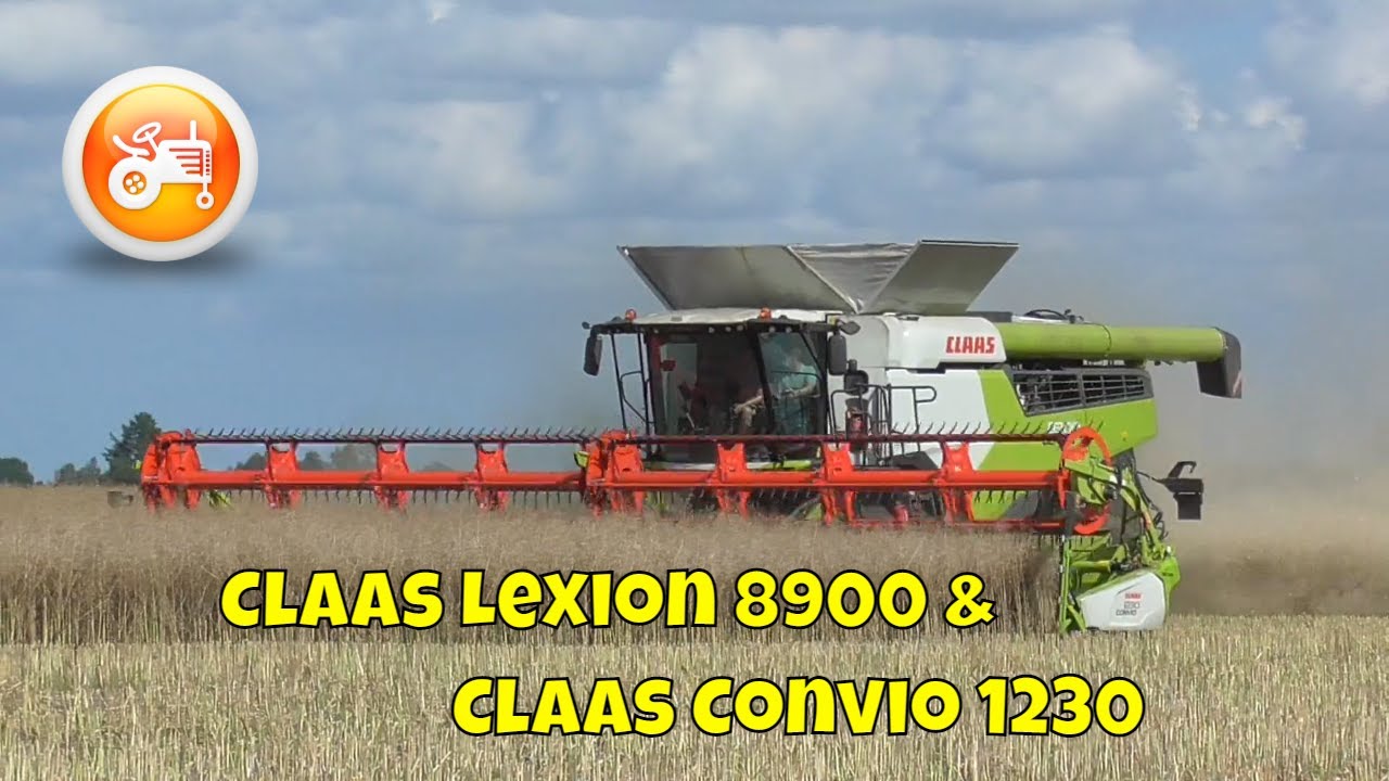 Combine Field Days 2021 | Claas Lexion 8900 TT & Convio 1230 header ...